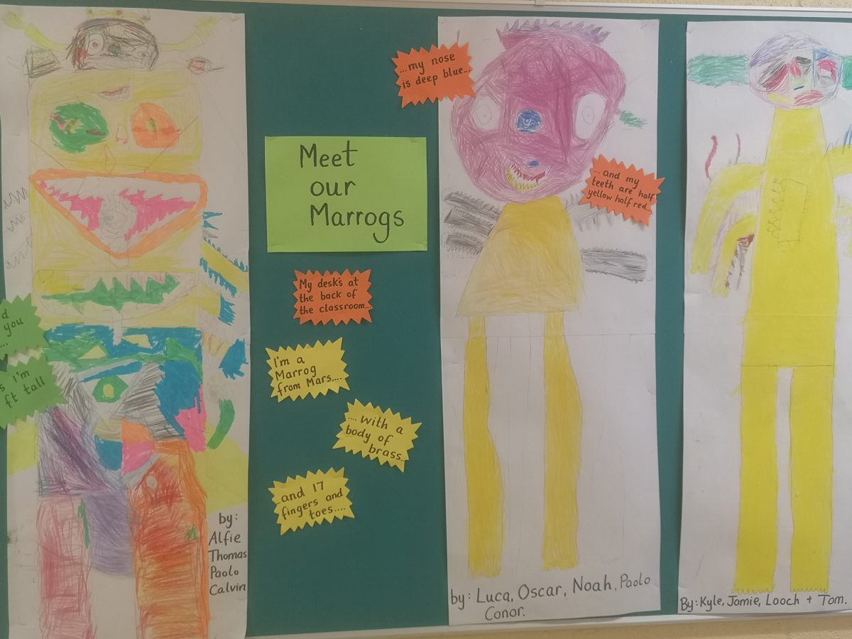 3rd Class – St Paul's National School